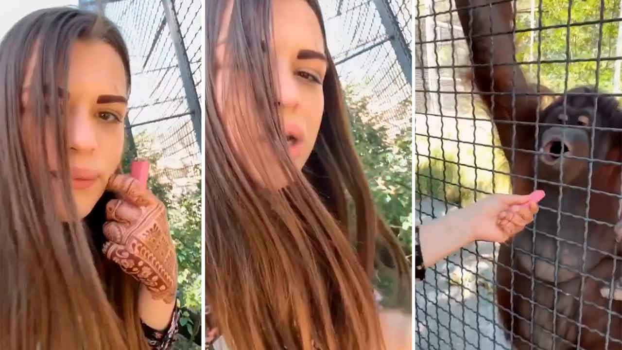 Wideo: Rosyjska bokserka wywołuje oburzenie w mediach społecznościowych ...